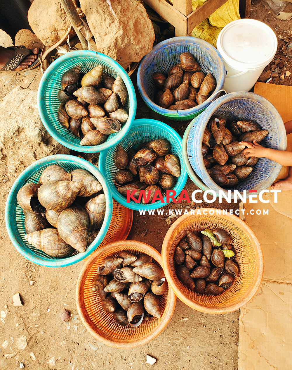 A Tourism Visit To The Popular Oja Ipata Market in Ilorin, Kwara State ...